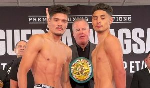 Home | BoxingInsider.com