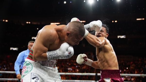 Home | BoxingInsider.com